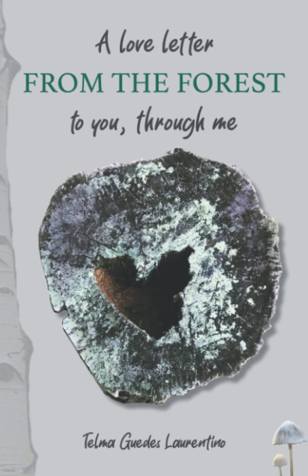 Southwest Word Fiesta™ – Southwest Word Fiesta™