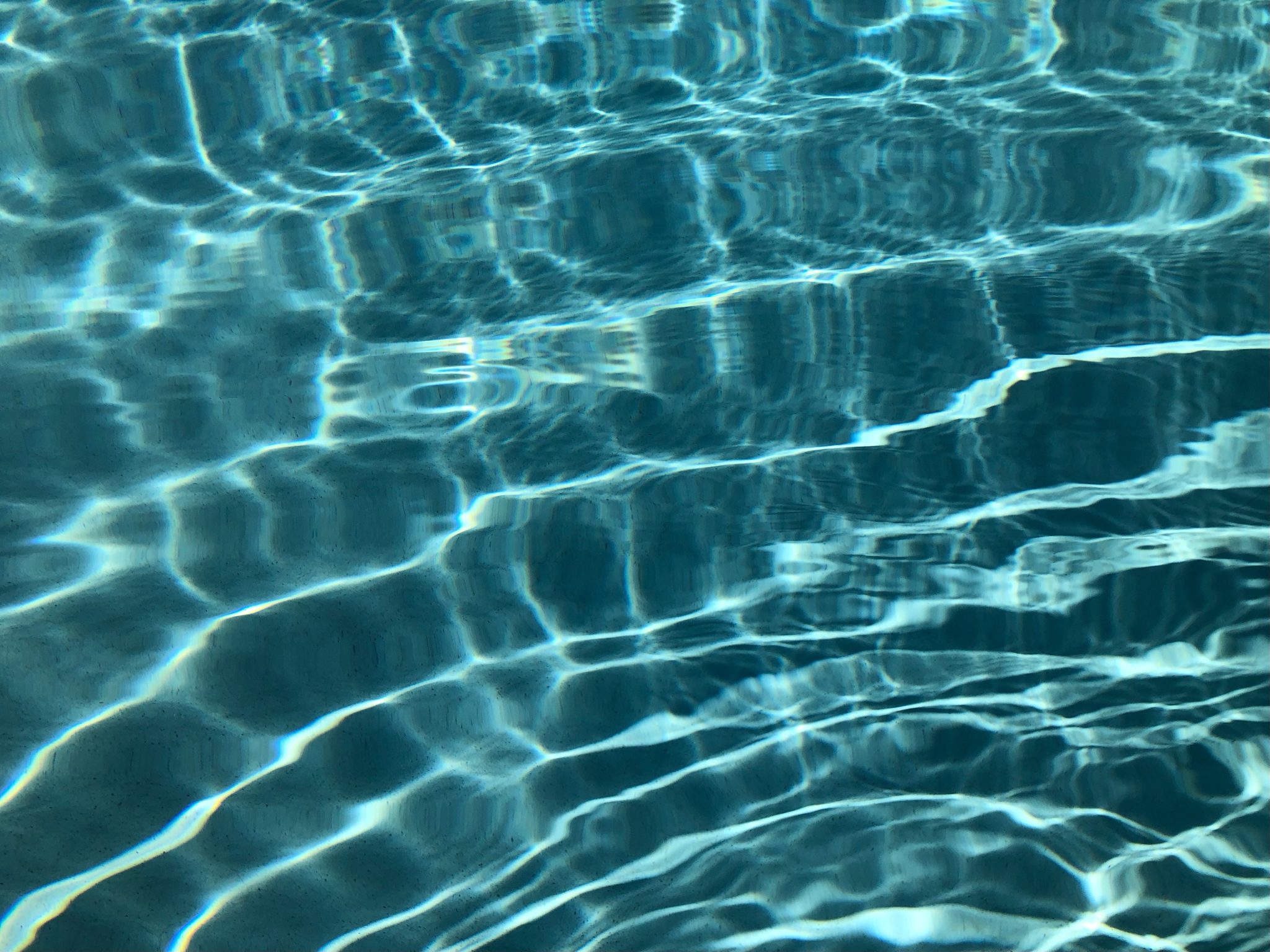 Home - Southwest Word Fiesta™