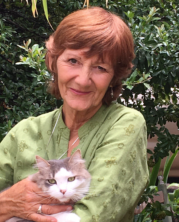 A Field of Stars – Southwest Word Fiesta™